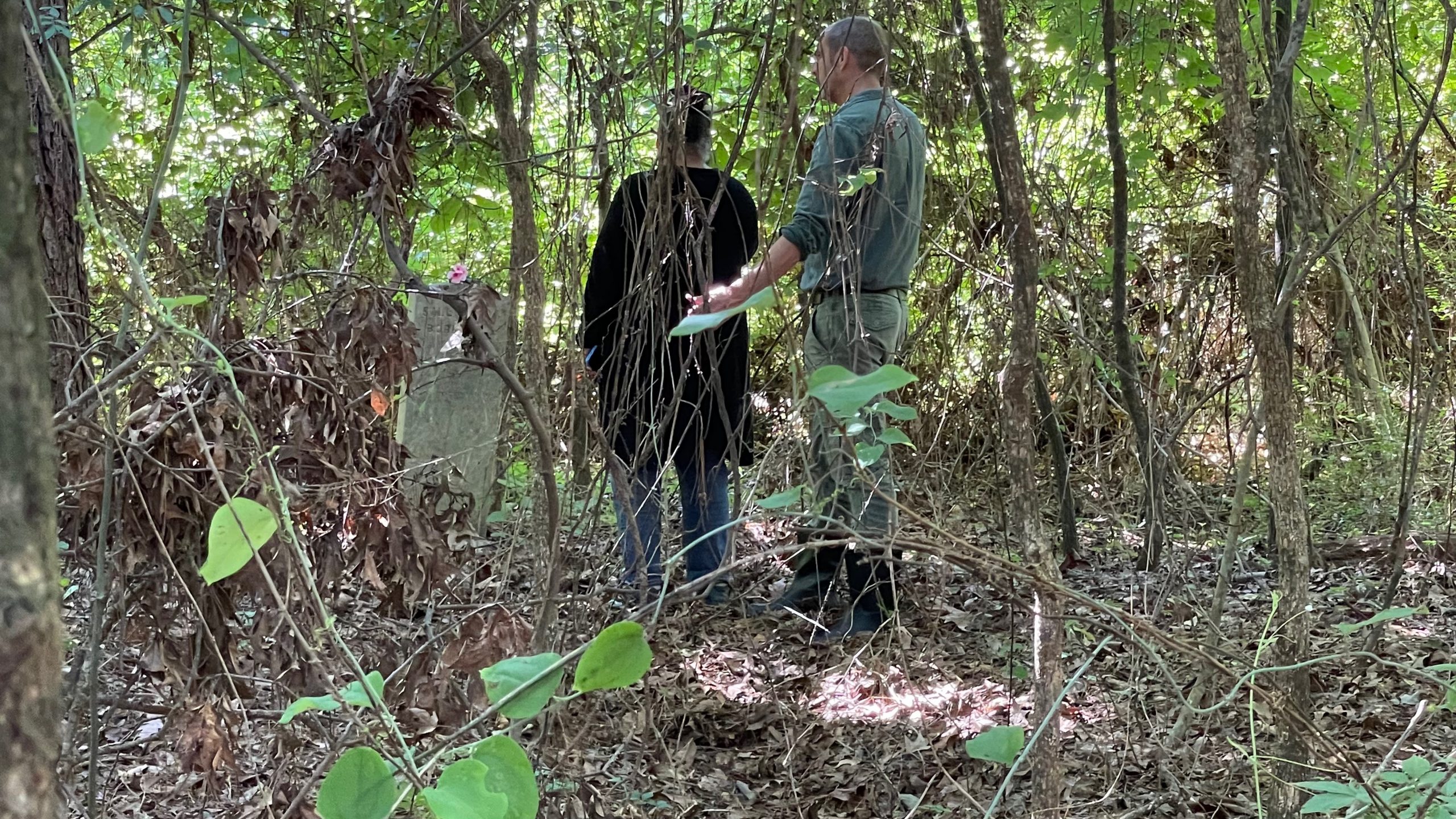 Acts of Reparation - The Alliance